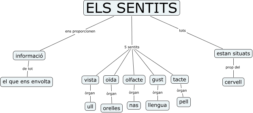els sentits